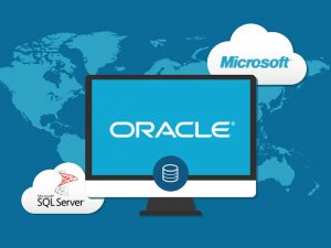Database Administration with Microsoft SQL Server and Oracle SharePoint ...