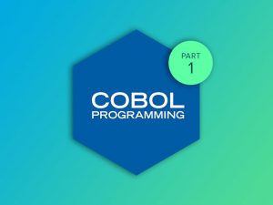 Enterprise COBOL Programming Bundle for $19 -Business Legions Blog