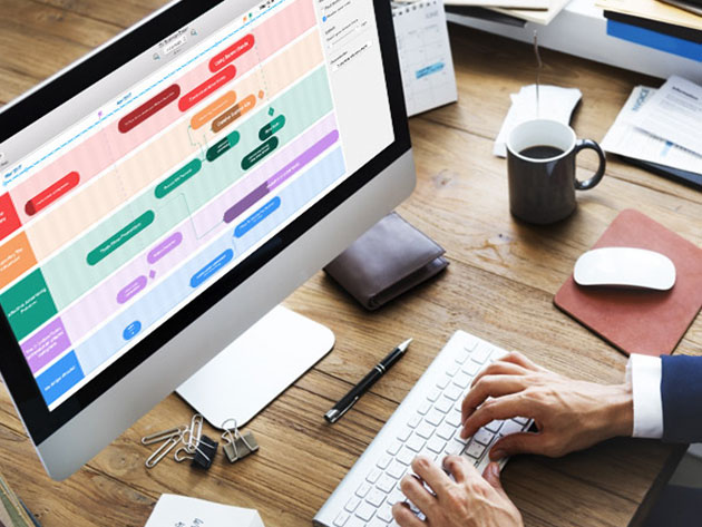 Roadmap Planner: Professional Plan for $29 -Business Legions Blog