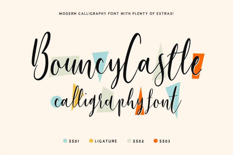 Bouncy Castle Modern Calligraphy Font Family - only $9! -Business ...