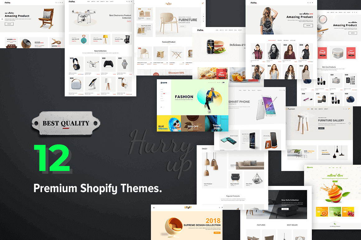 12 Premium Shopify Themes to Improve the Look of Your eCommerce Site ...