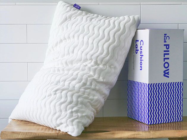 Cushion Lab Adjustable Shredded Memory Foam Pillow (Standard) for $29 ...