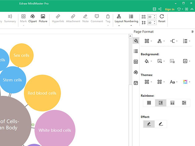 MindMaster Mind Mapping Software: Perpetual License for $49 -Business ...